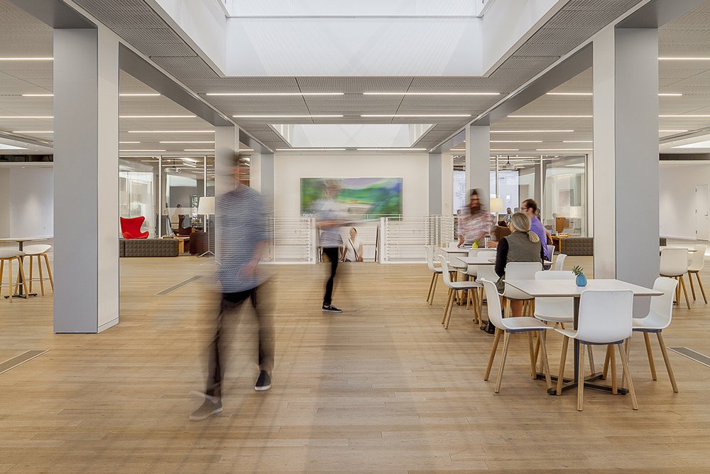 LEVER » Projects » Animation Building Renovation