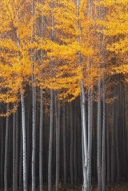 LEVER » Projects » Union Way