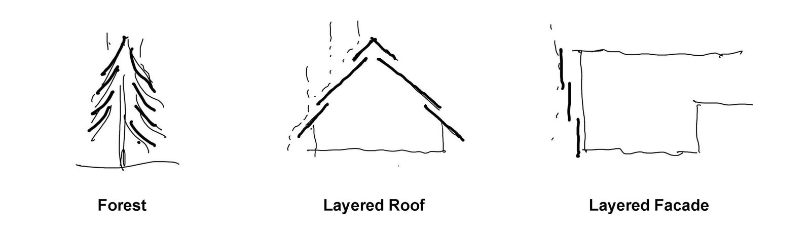 LEVER » Projects » World Forestry Center