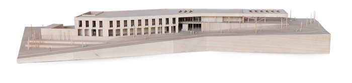 LEVER » Projects » World Forestry Center