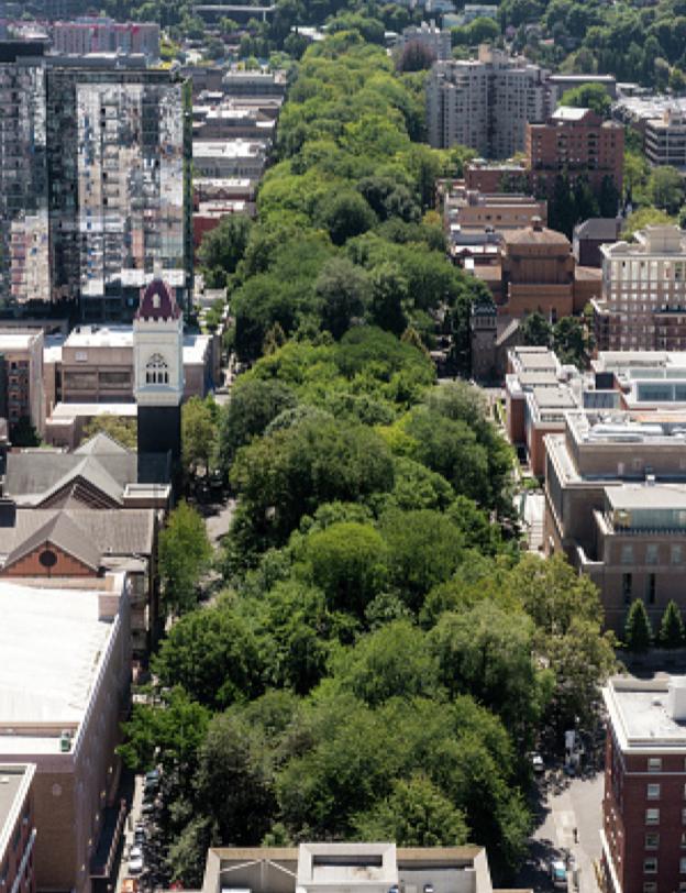 LEVER » Projects » Portland State University, Schnitzer School of Art ...