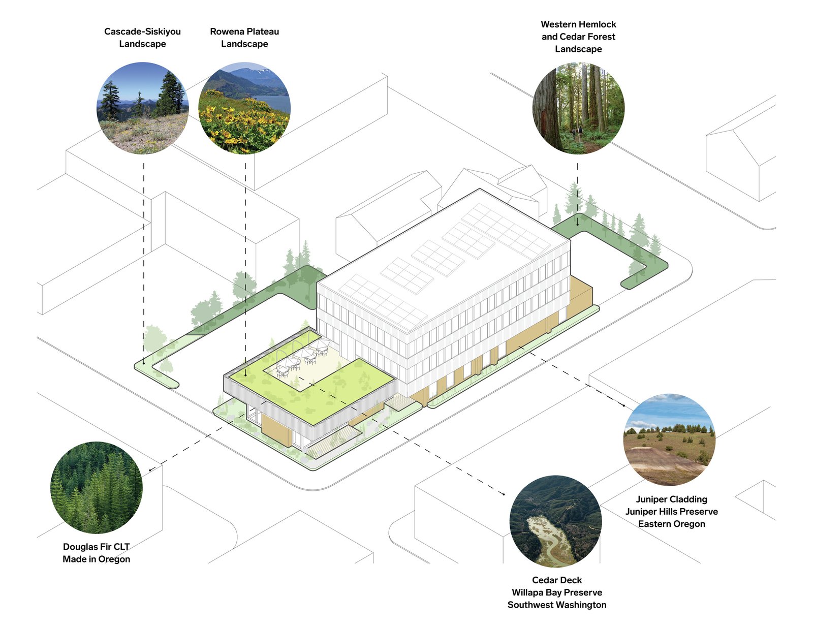 LEVER » Innovation » Sustainable Wood Sourcing at The Nature Conservancy