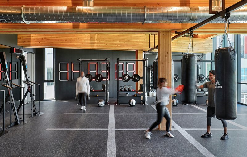 LEVER » Projects » Adidas Performance Zone