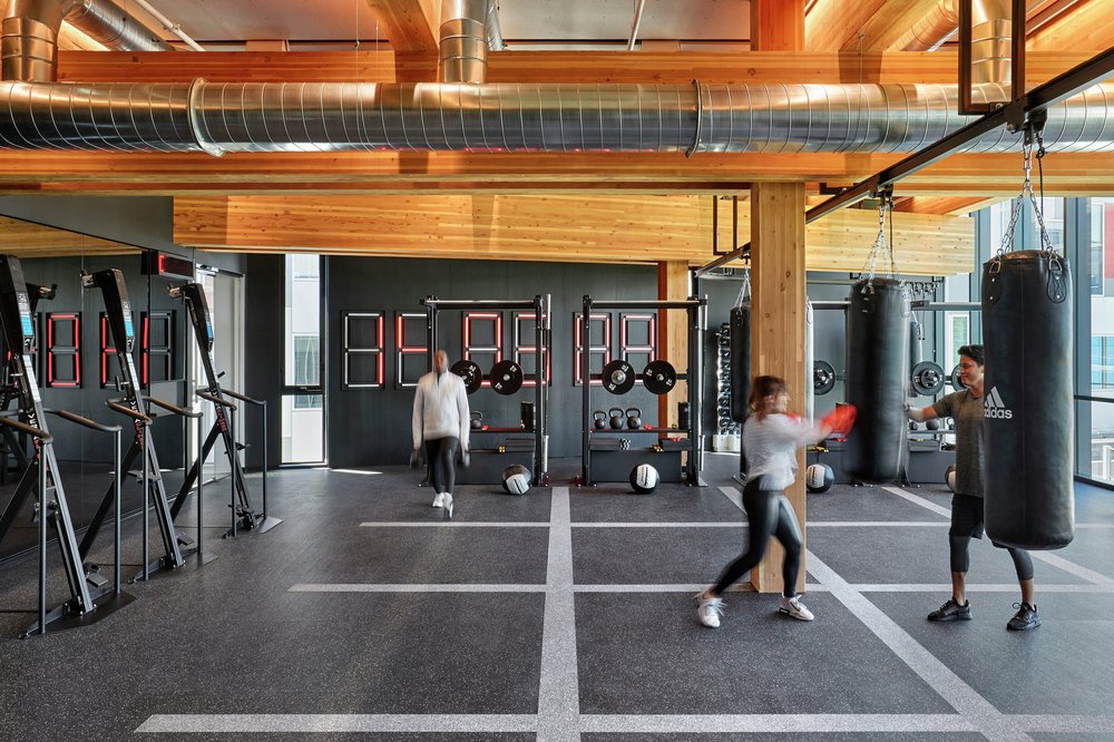 LEVER » Projects » adidas Performance Zone